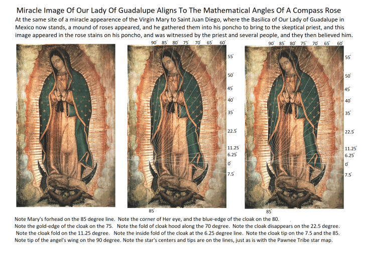 Miracle Image Of The Virgin Mary Appeared From Miracle Rose Stains On ...