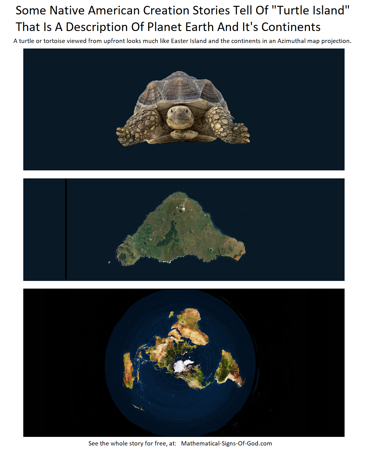 Some Native American Creation Stories Tell Of “Turtle Island” That ...